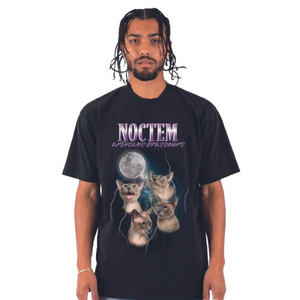 Noctem Artisans Brasseurs