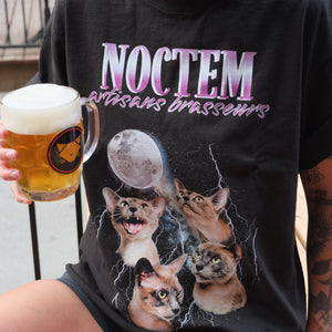 Noctem Artisans Brasseurs
